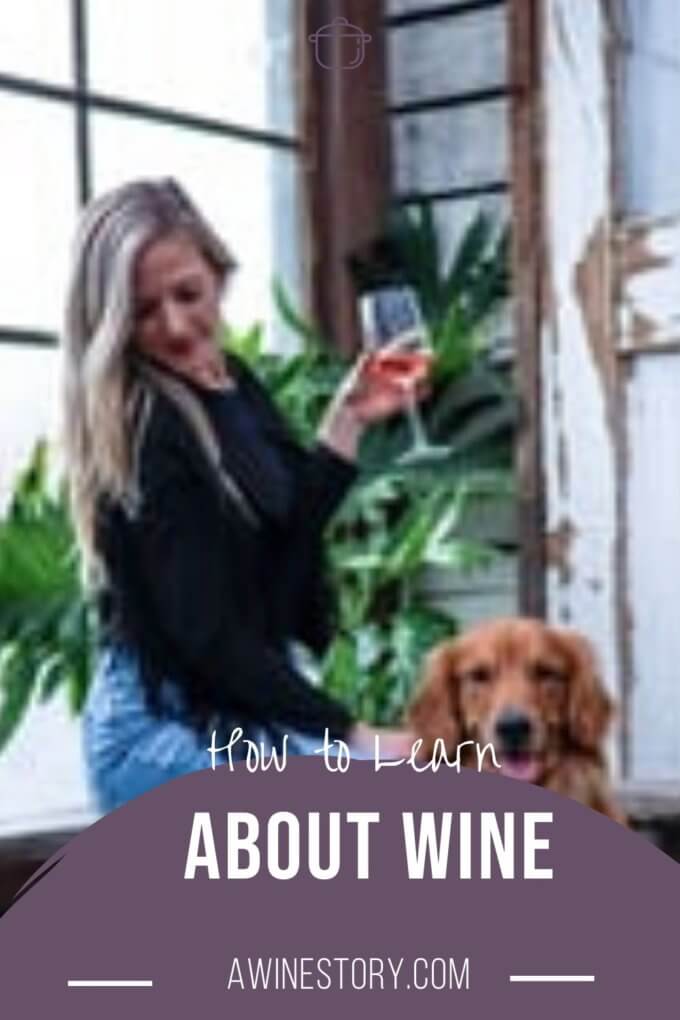 Best Books for Wine Lovers